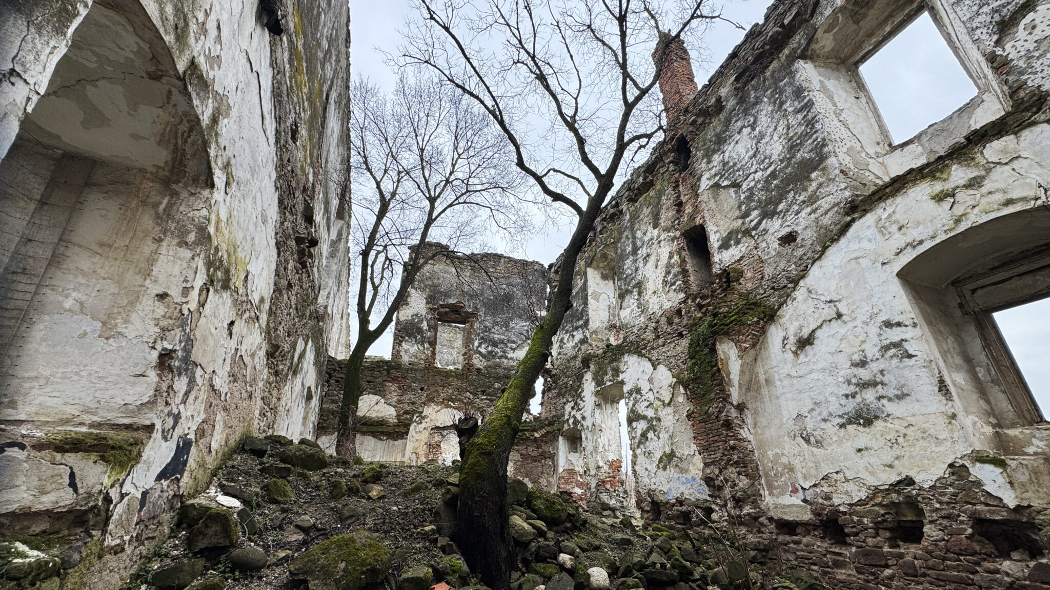 Főoldal | Magyar Krónika